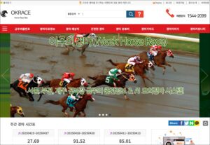 오케이레이스 (okrace.co.kr) – fawnot